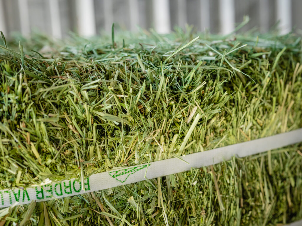 Bermuda Hay - Border Valley Trading