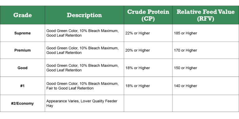 Alfalfa - Border Valley Trading